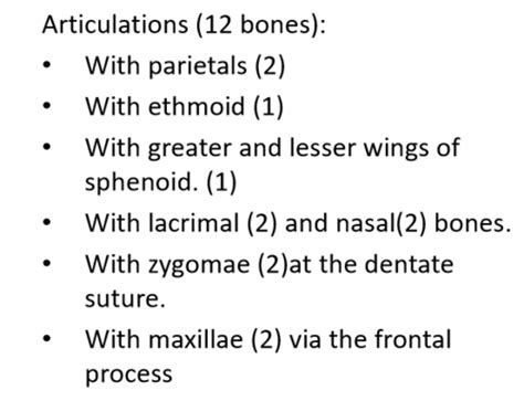 Cranial Vault Somatic Dysfunction Flashcards Quizlet