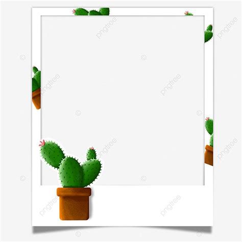 Cute Polaroid Frame Png Picture Polaroid Cute Cactus Frame Polaroid