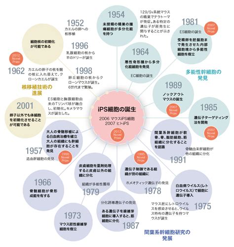 幹細胞の歴史 幹細胞情報データベースプロジェクトskip Stemcell Knowledge And Information Portal