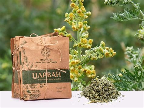 Орхон аймгийн Эрүүл мэндийн газар УЛАМЖЛАЛТ АРГААР АМЬСГАЛЫН ЗАМЫН ХАЛДВАРТ ӨВЧНӨӨС СЭРГИЙЛЬЕ