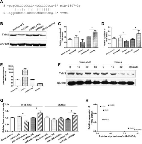 Rs7911488 Modified The Efficacy Of Capecitabine Based Therapy In Colon