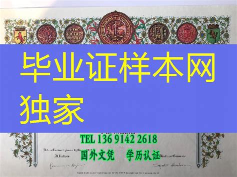 意大利都灵大学毕业证案例，universita‘ Degli Studi Di Torino Diploma Degree毕业证样本网