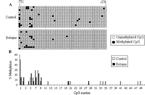 Bisulfite Sequencing Analysis Of Promoter Cpg Methylation Of Lpl Gene