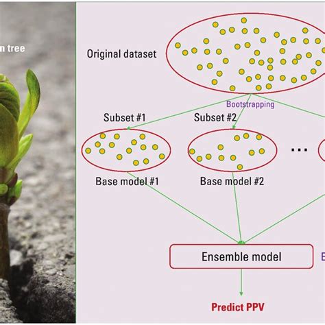 Extree Structure For Regression Problems Download Scientific Diagram
