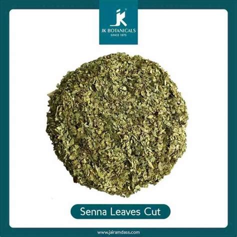 Green Senna Leaves T Cut Cassia Angustifolia Packaging Type Bag