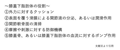 膝関節の疼痛 膝蓋下脂肪体 理学療法士・作業療法士・言語聴覚士の求人、セミナー情報なら【post】