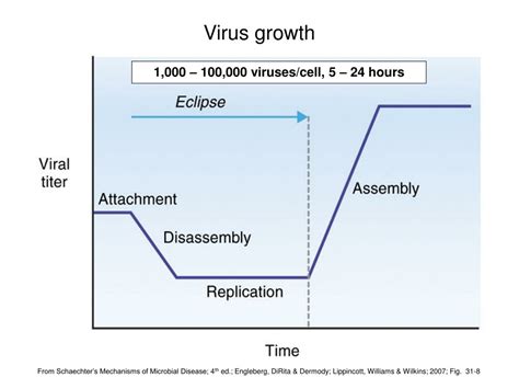 Ppt Virus Structure Classification And Replication Powerpoint Presentation Id 511172