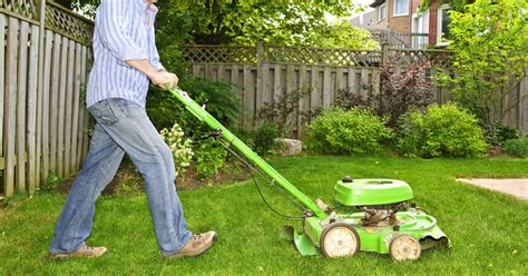 The Importance Of Proper Dallas Lawn Care Services