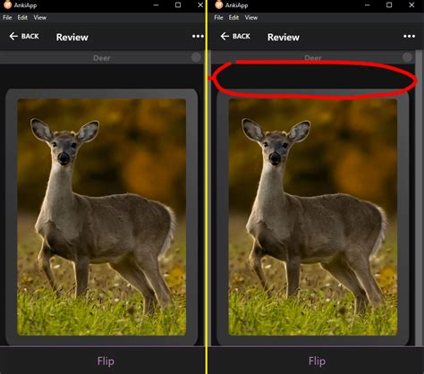 How Do I Fix This Styling Issue In Ankiapp Ranki