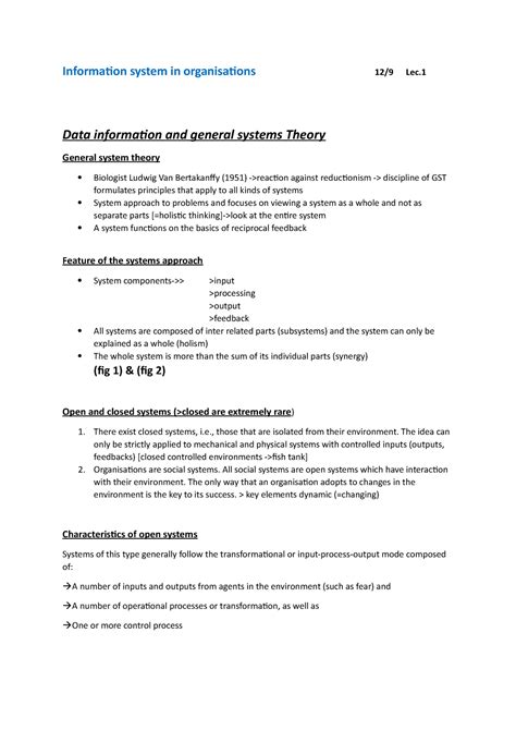 Information Systems In Organisations Lecture Notes Information System