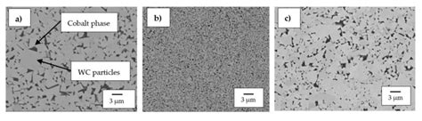 Sem Micrographs Of The Investigated Wc Co Alloys A Wc 8co B
