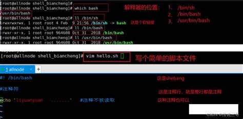 Linux学习笔记（二十一）之shell编程 Csdn博客