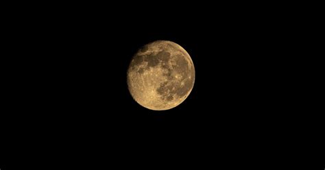 I Have Cerebral Palsy This Is How I Have Sex