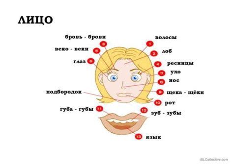 179 Pусский РКИ Powerpoints