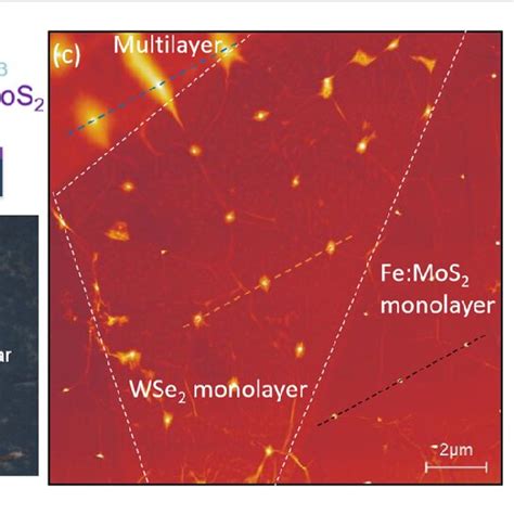 Formation Of Proximity Coupled Quantum Emitter Arrays A Cross