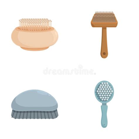 Collection Of Various Hairbrushes And Combs Stock Vector Illustration