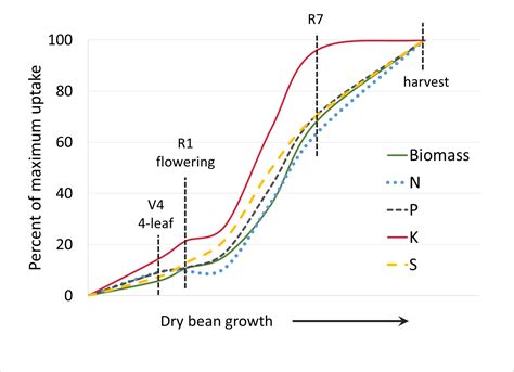 Corn Nutrient Uptake Chart Ponasa