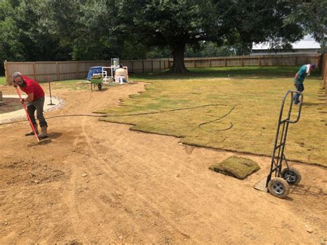 Gallery Sod Installation Services In Madison Ms Lawn Works