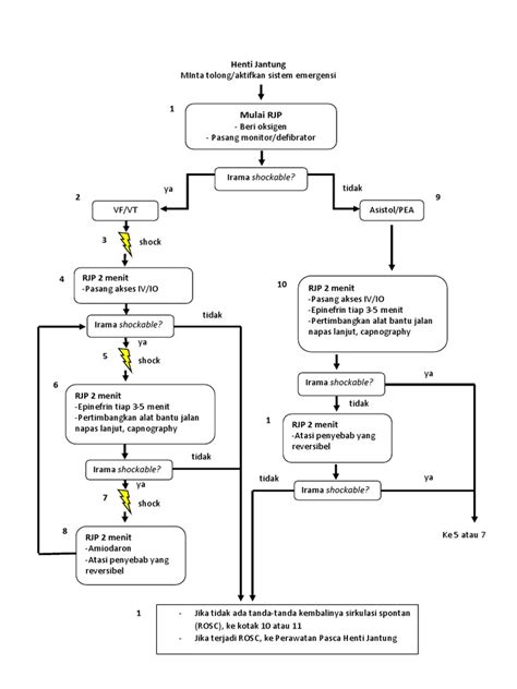 Algoritme Henti Jantung Perki 2011 Algoritme Henti Jantung Perki 2011