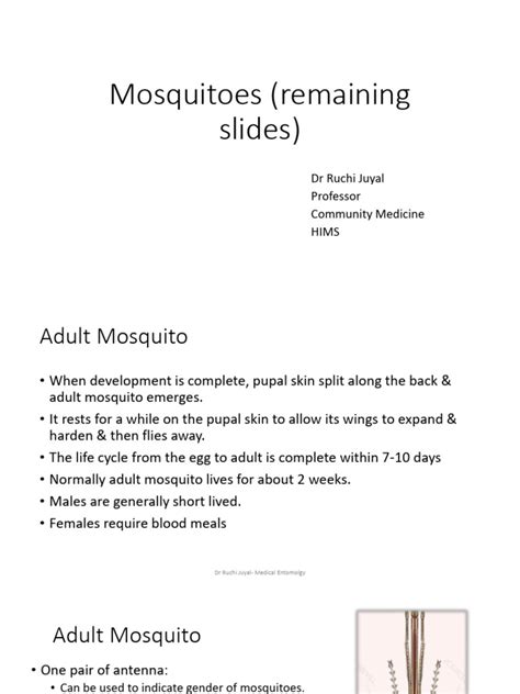 Mosquito Remaining Slides Pdf