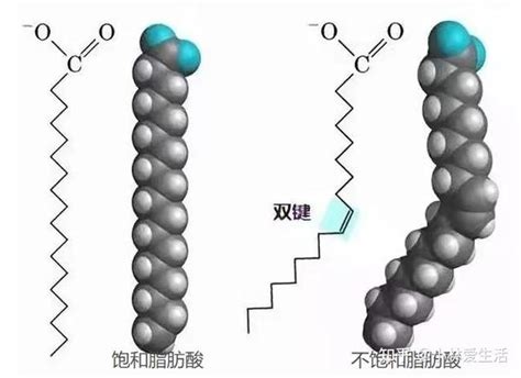 反式脂肪酸你了解多少 知乎
