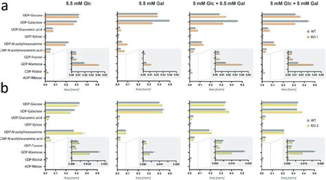 Steady State Metabolomics Analysis Of Nucleotide Sugars After Galactose Download Scientific