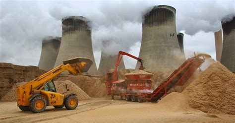 Biomass Industrial Innovative Projects