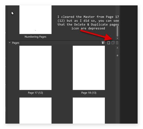 Publisher Version 2 Error Or Bug Pages Wont Delete Affinity On Desktop Questions Macos