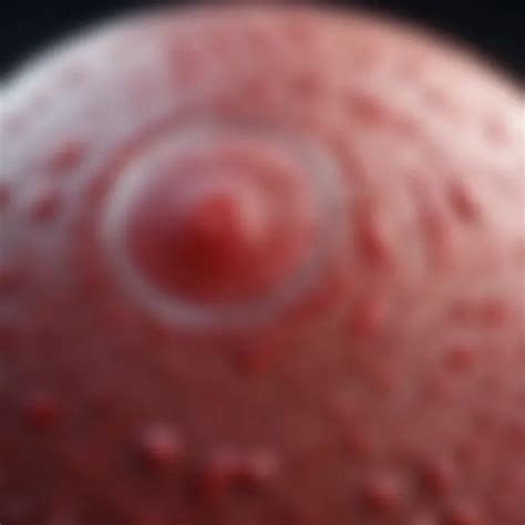 Understanding Cd4 Count Insights On Hiv Management