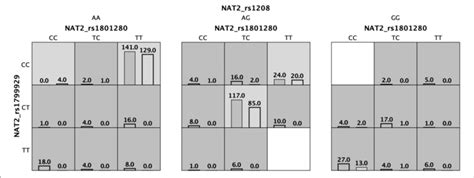 Three Locus Multifactor Dimensionality Reduction Mdr Model