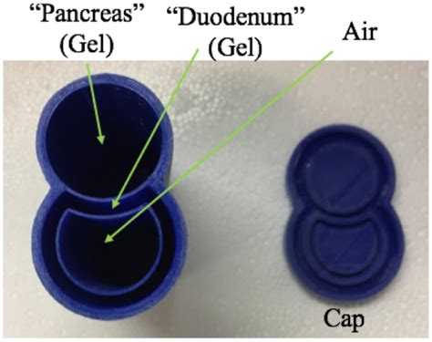 Custom 3D Printed Target Designed To Simulate Pancreas And Duodenum