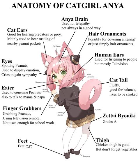 Catgirl Anya Anatomy Happy Loli Day Rgoodanimemes
