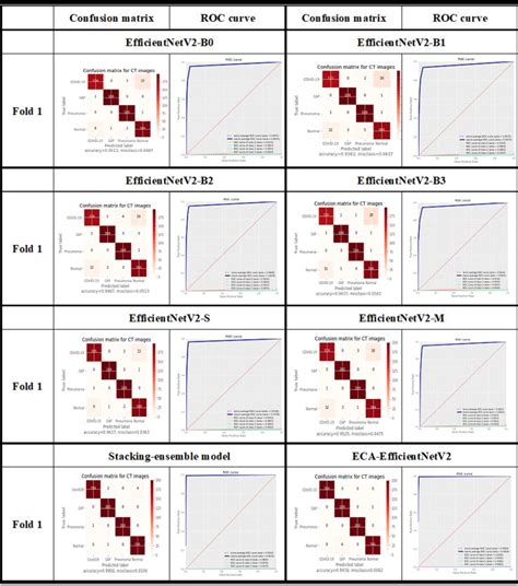 Stacking Ensemble And Eca Efficientnetv2 Convolutional Neural Networks
