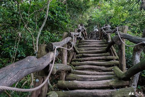 台中北屯大坑四號步道原木階梯步道小有挑戰性登台中人的後山頭嵙山 輕旅行