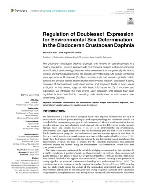Pdf Regulation Of Doublesex1 Expression For Environmental Sex