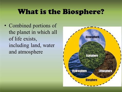 Biosphere Definition