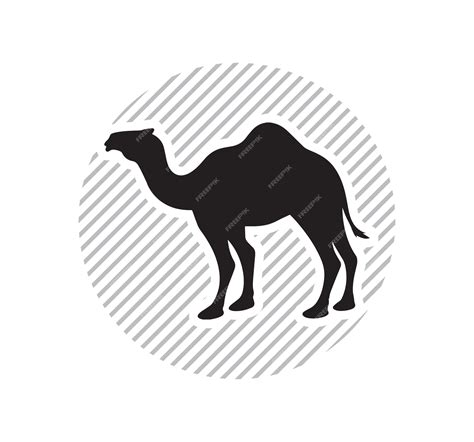 Premium Vector Camel Graphic Icon Camel Black Sign Isolated On White