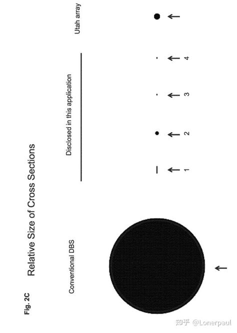比头发丝儿还细的 线 如何获取大脑信号——解密马斯克neuralink电极工艺 知乎