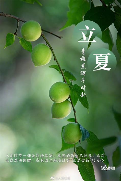 和肉類，特別是紅肉和加工肉，以及吸煙、飲酒、運動不足、蔬菜攝入不夠、肥胖、有家族病史等等。但是，沒有這些風險因素的人也有可能患直腸癌。 直腸癌