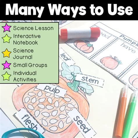 All About Pumpkin Life Cycle Craft Labeling Parts Of A Pumpkin