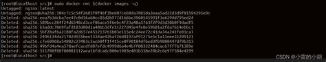 Centos8 操作 Dockercentos8 Docker Csdn博客