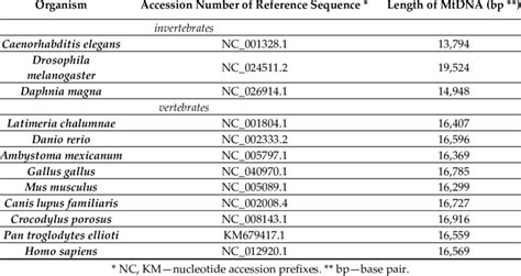 MtDNA Reference Sequences Of Analysed Model Organisms Download Scientific Diagram