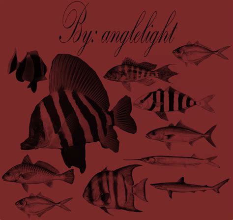 Cool Fish Brushes For Photoshop Tutorialchip