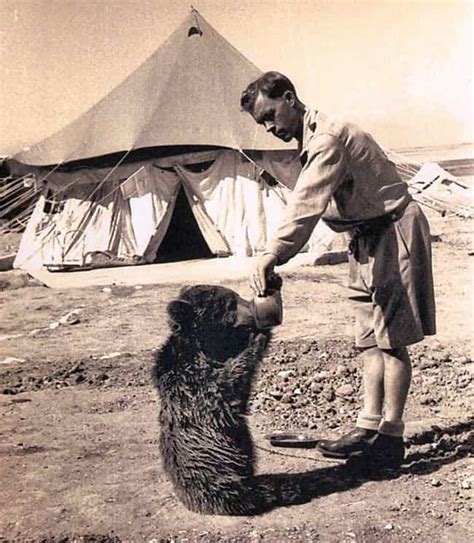 The True Story Of Wojtek The Bear That Served In The Polish Military