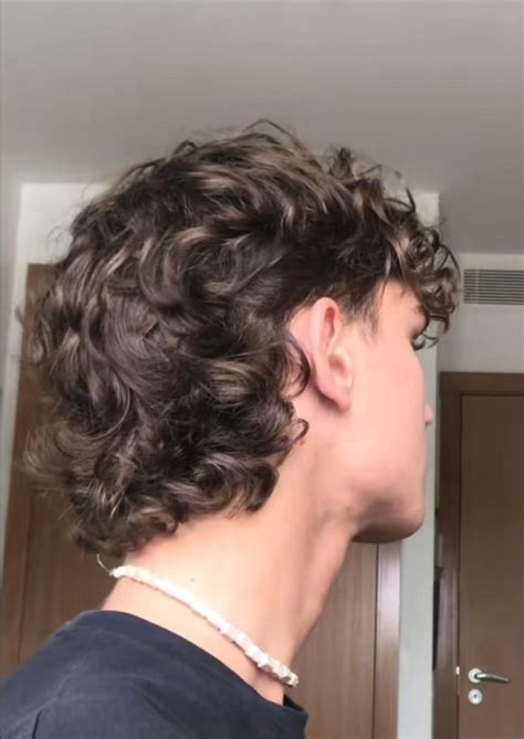 The Best 25 Modern Mullet Haircuts For Men Detailed Gallery Modern