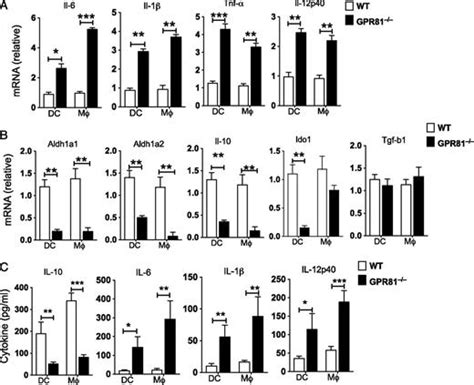 Gpr81 A Cell Surface Receptor For Lactate Regulates Intestinal