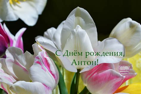 С Днём рождения Антон — Открытки к празднику