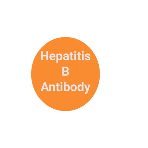 Get Student Titers Like Mmr Varicella Hep B Titers Andtb Blood Test