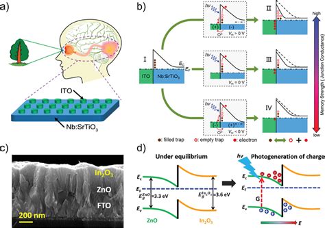 A Conceptual Drawing Of The Ito Nb Srtio3 Heterojunction Artificial Download Scientific