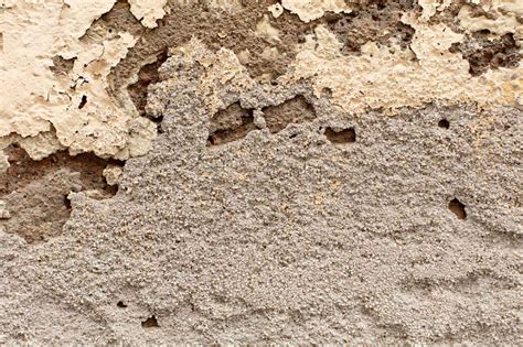 Cement In Sand For Block Paving A Beginners Guide